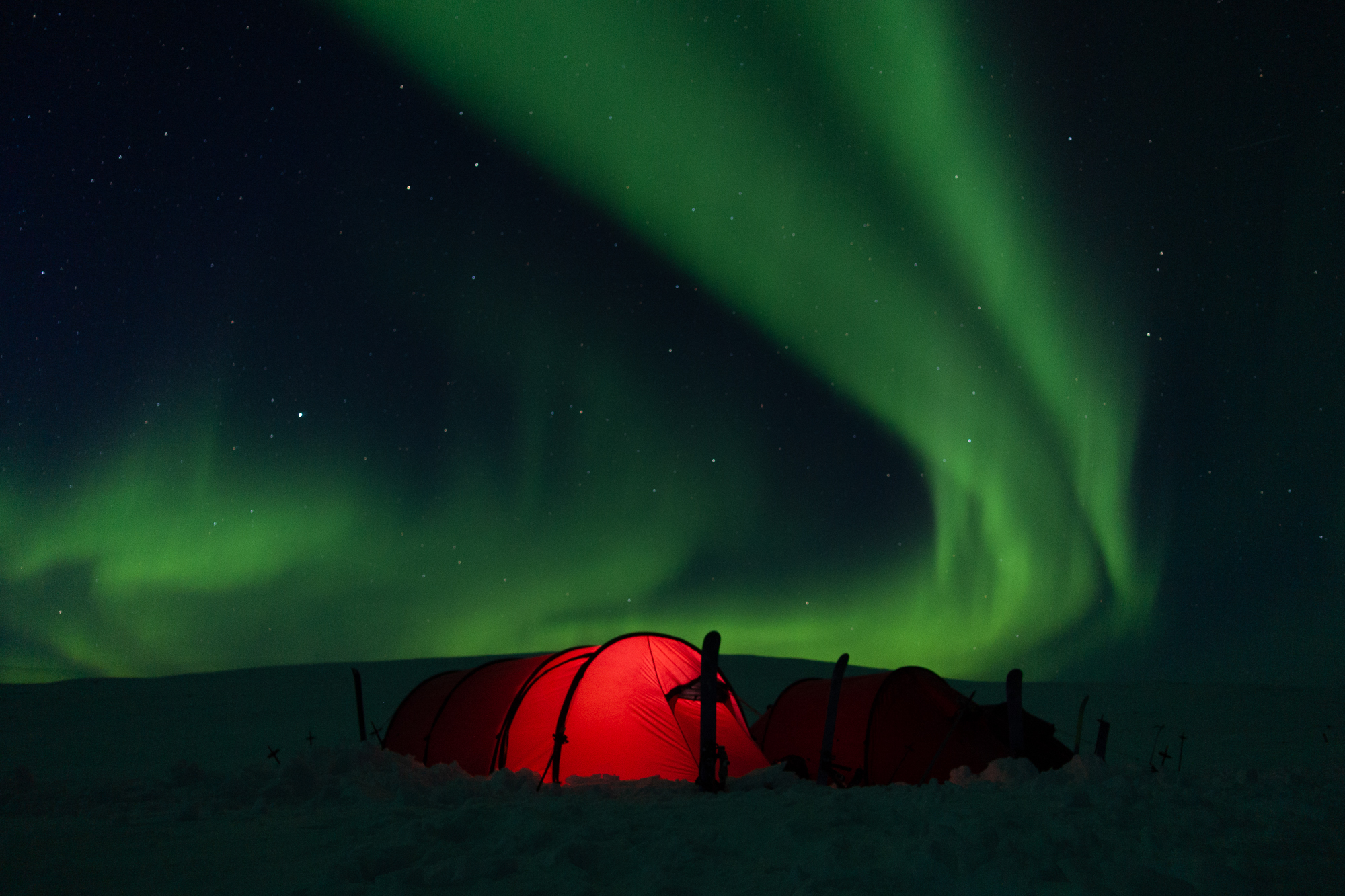 Contact Wild Hikes Finland – Get in Touch for Arctic Adventures | Wild ...